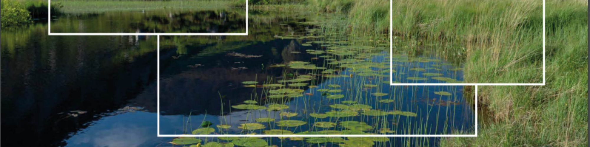 EPA publishes finalised EIAR guidelines - MKO