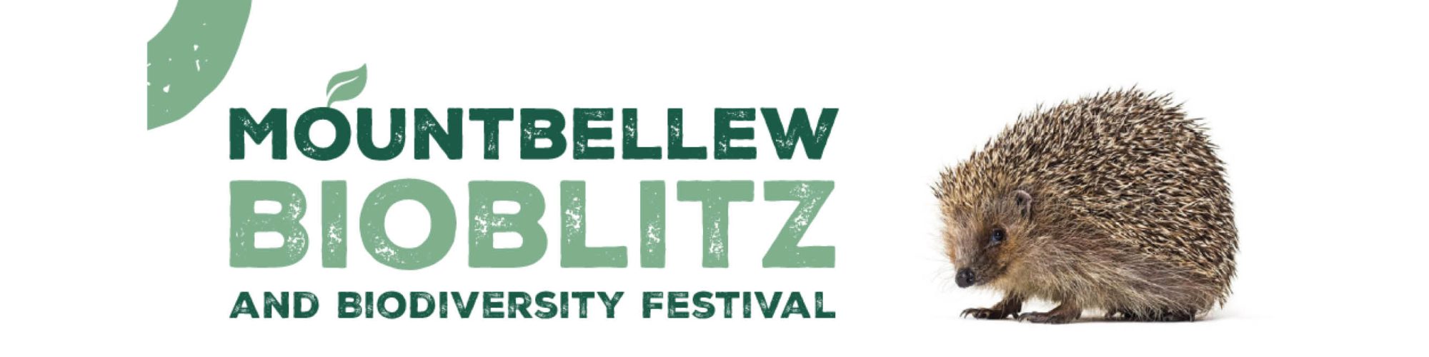 Bioblitz and Biodiversity Festival – 2023 Mountbellew - MKO