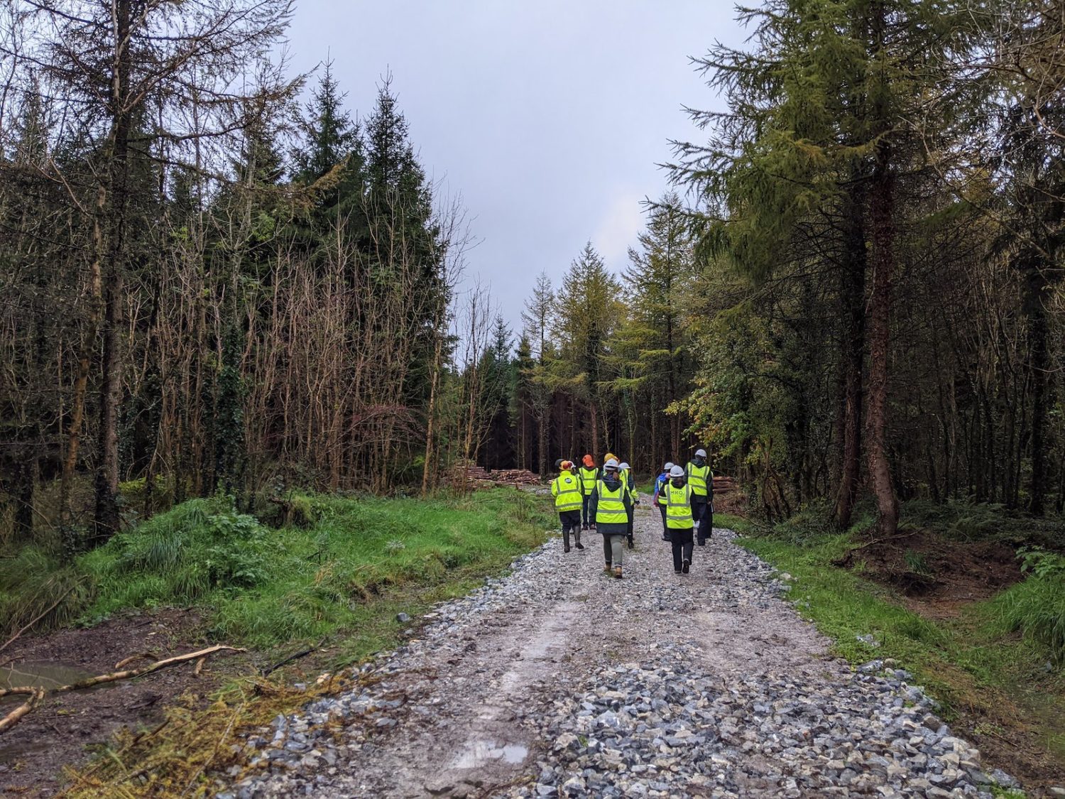 Coillte NIS Project - MKO