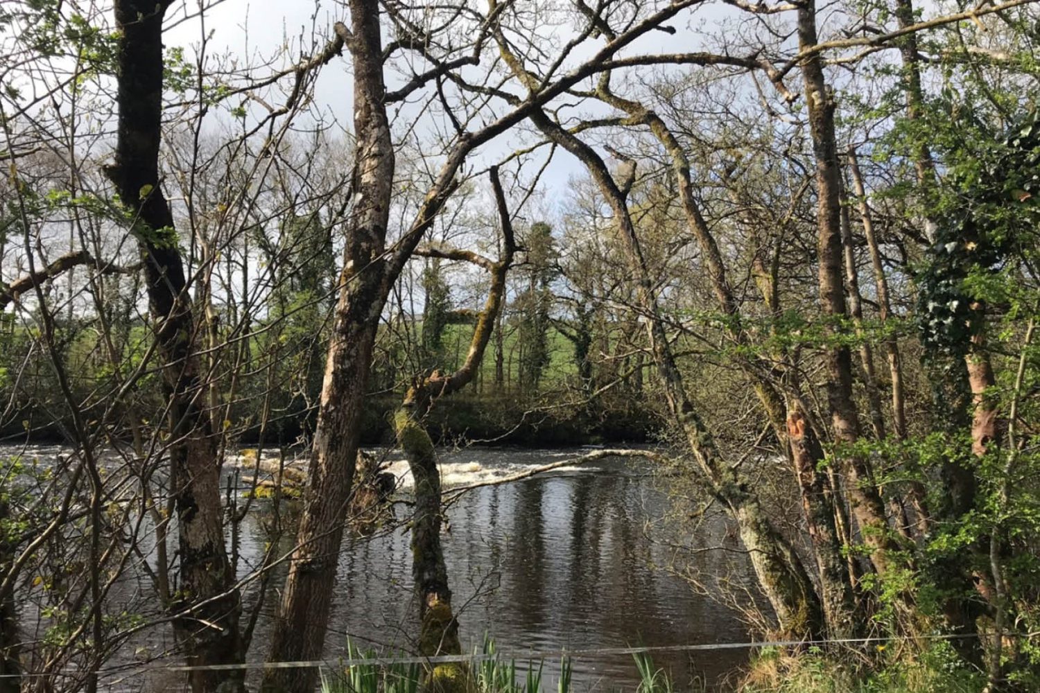 N17 Knock to Collooney - MKO