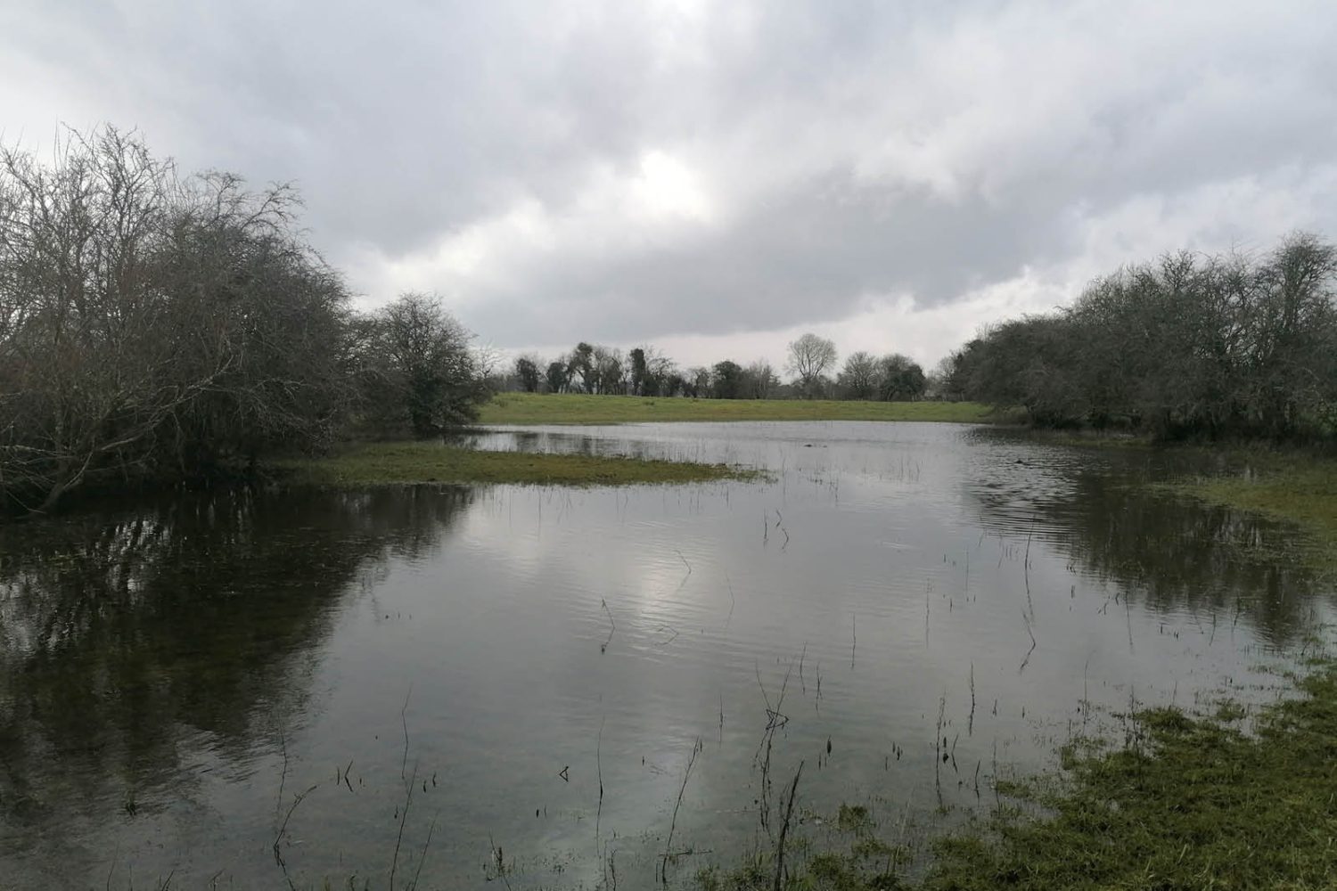 N17 Knock to Collooney - MKO