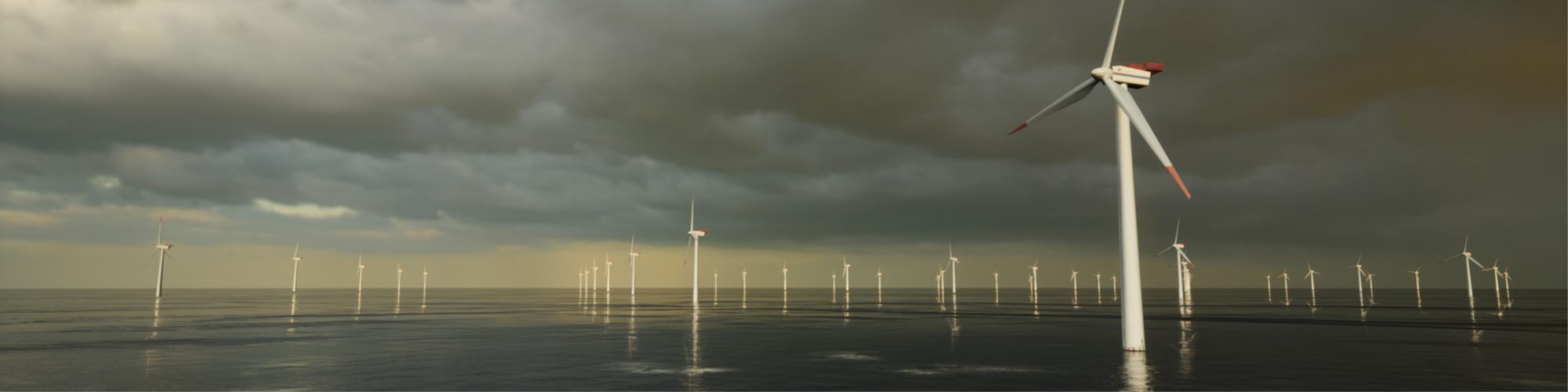 Collision risk modelling for offshore wind developments - MKO