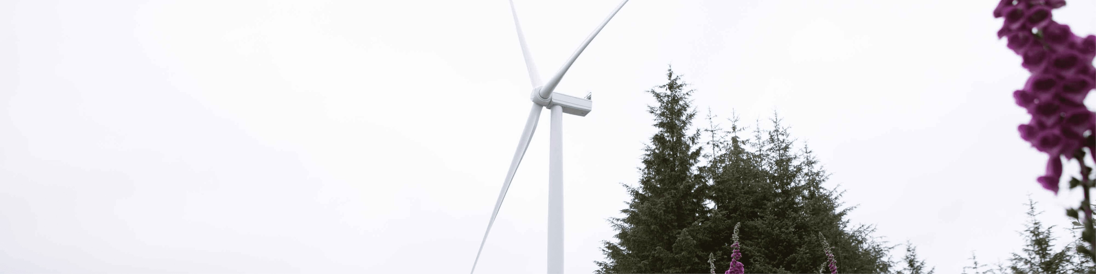 Planning highlights 2024 - MKO