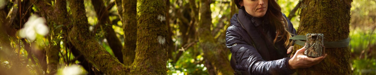 Habitats directive derogation process - MKO